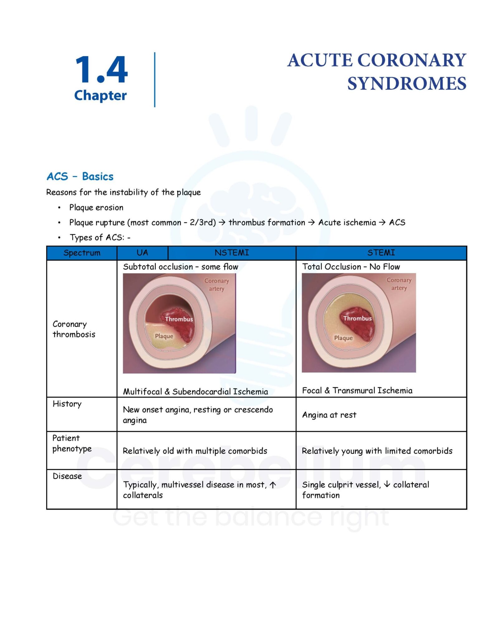 Sample Pages Of final Prof Subjects part-1 - Cerebellum Academy