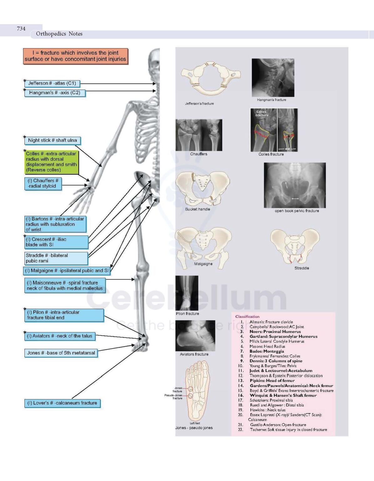 Sample Pages Of final Prof Subjects part-1 - Cerebellum Academy