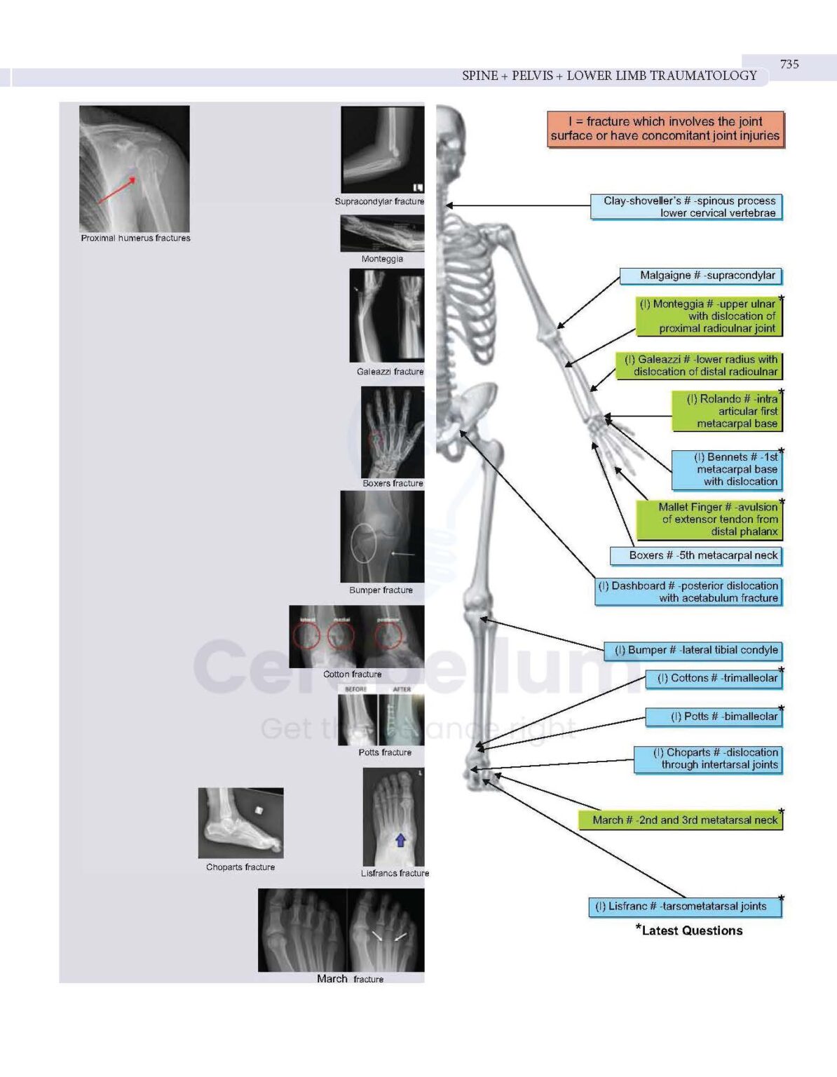 Sample Pages Of final Prof Subjects part-1 - Cerebellum Academy