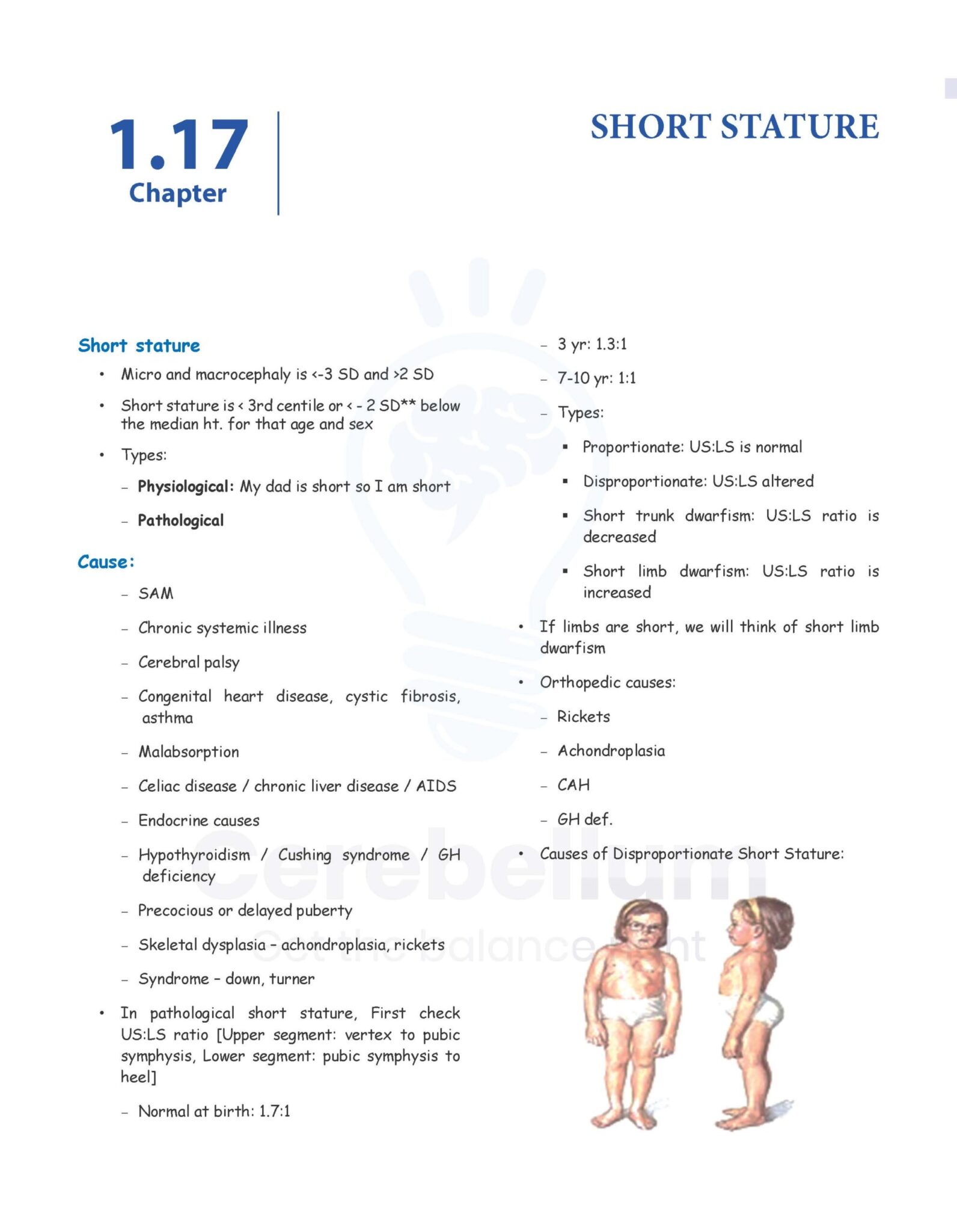 Sample Pages Of final Prof Subjects part-1 - Cerebellum Academy