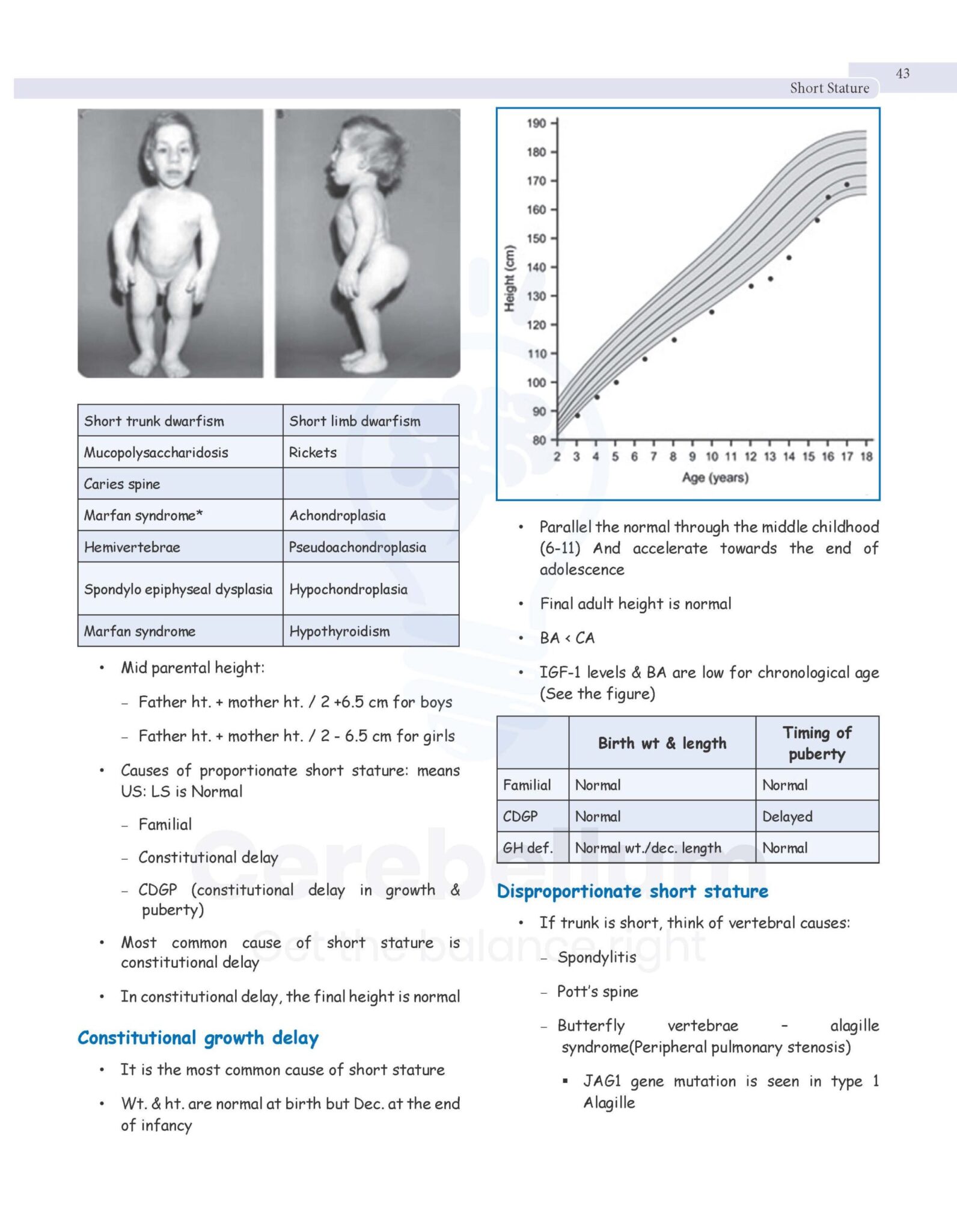 Sample Pages Of final Prof Subjects part-1 - Cerebellum Academy