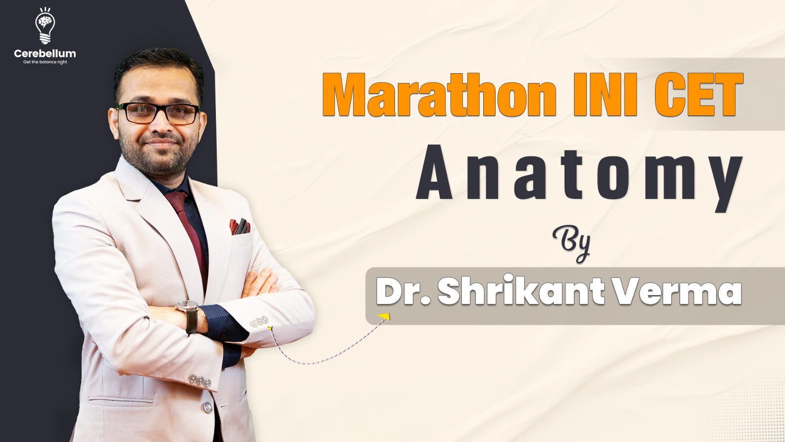 Home Cerebellum - Cerebellum Academy